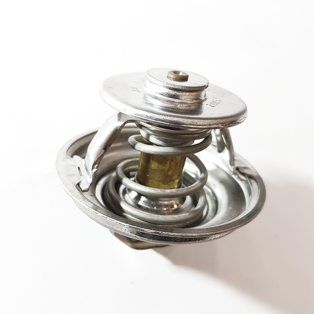 TERMOSTATO - Diveparts